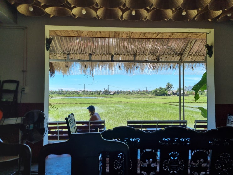 [호이안]🌞Day7-신상 라이스필드(논밭)뷰 카페(NGHE Rice Paddy Cafe), 맛집(호로콴) : 네이버 블로그