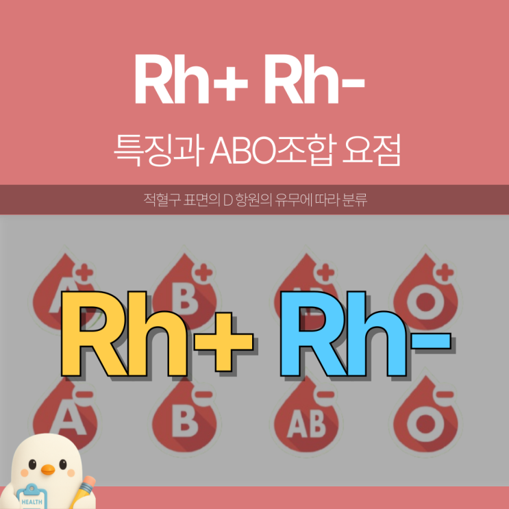 Rh+ Rh- 혈액형 특징 ABO조합 요점 : 네이버 블로그