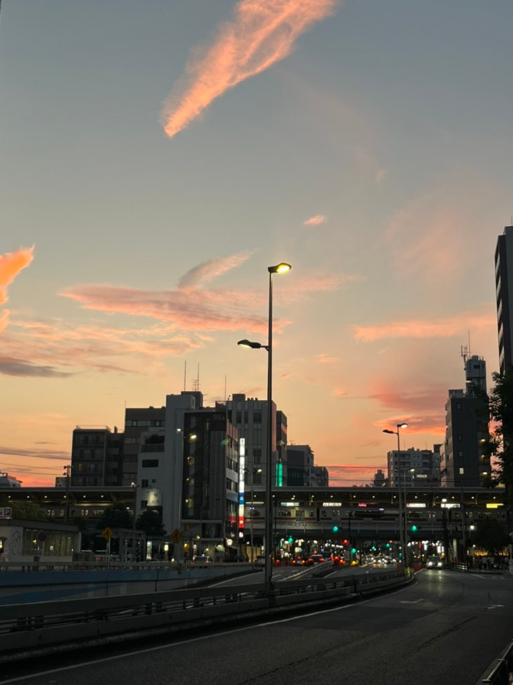 도쿄워홀 +85~91日 : 네이버 블로그