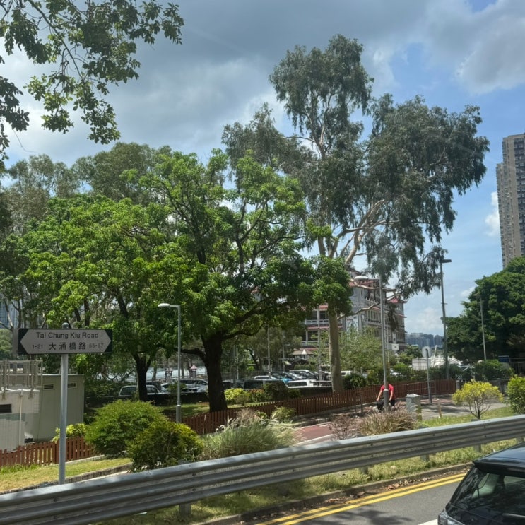 홍콩🇭🇰 사이판🇲🇵 진천🤦🏻‍♀️ : 네이버 블로그