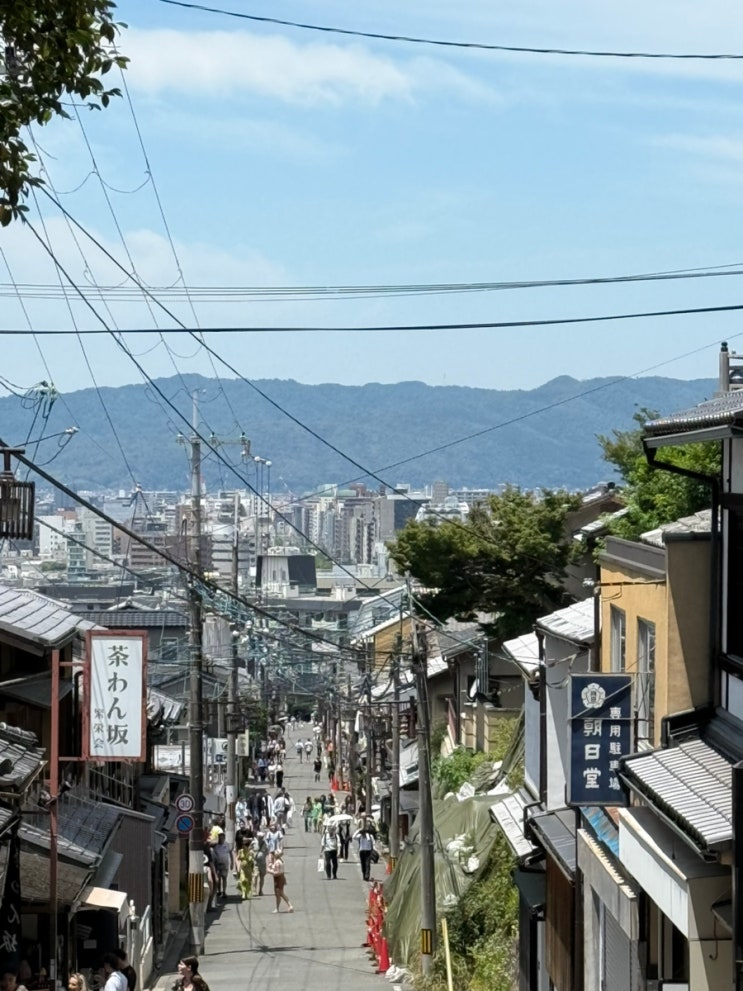 [일본 여행]3일 차 -교토 기요미즈데라(청수사),산넨자카 니넨자카,교토 후시미 이나리신사(여우신사),교토타워, 교토 쿠라스시,우동맛집 키요시 요정,오하요크림브륄레 후기 ...