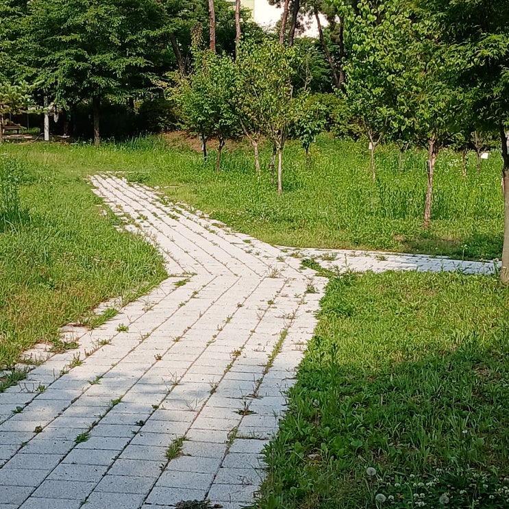 잠언 Proverbs 20장 : 네이버 블로그