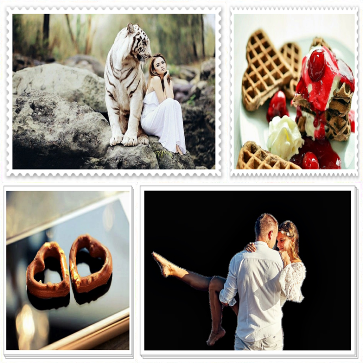 원추리의 역사와 문화적 의미 : 네이버 블로그