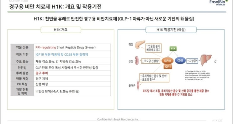 엔솔바이오사이언스 비만치료제 H1K 스터디(GLP-1계열과의 차이점 중심) : 네이버 블로그