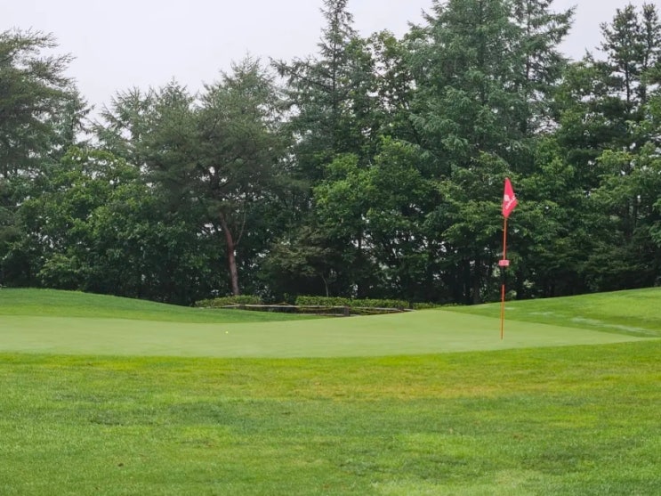 C.C,G.C,TPC, Golf Links 골프장을 표현하는 단어의 차이점 : 네이버 블로그