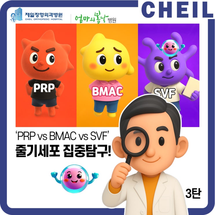 ‘PRP vs BMAC vs SVF’ 줄기세포 집중탐구! 어떤 치료가 나에게 맞을까? : 네이버 블로그