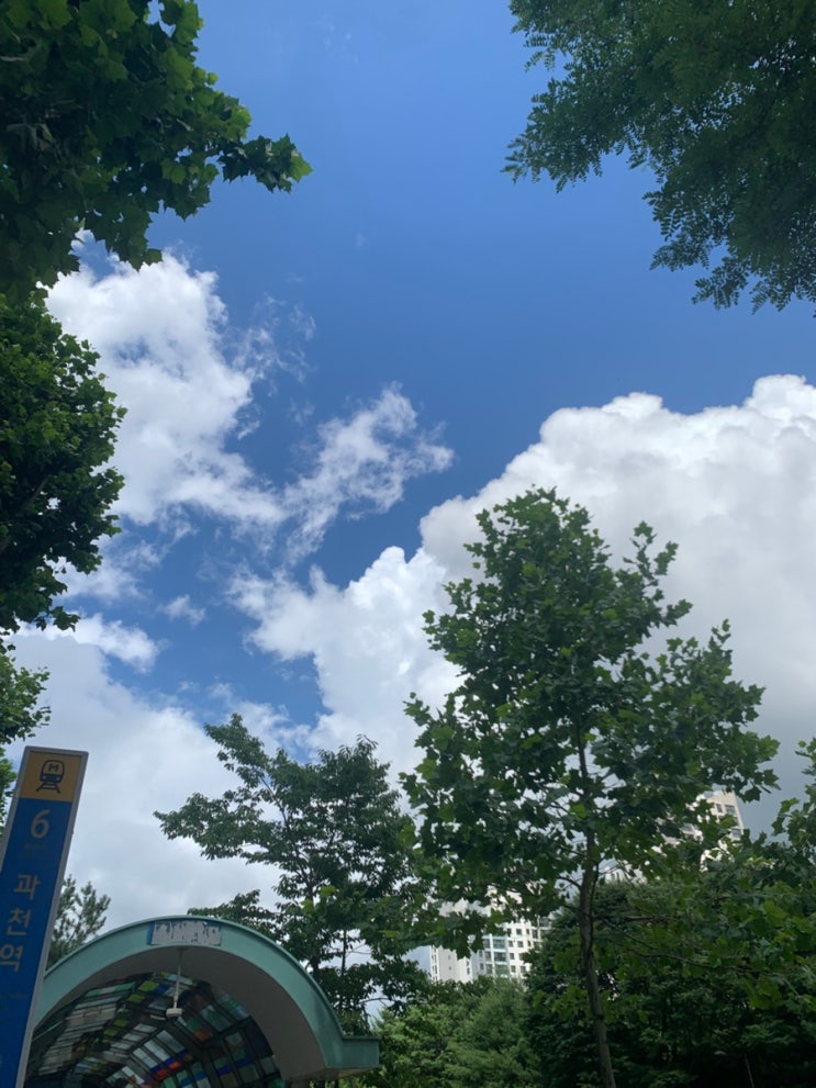 날씨가 좋아요 함께 떠날래요↗️ : 네이버 블로그