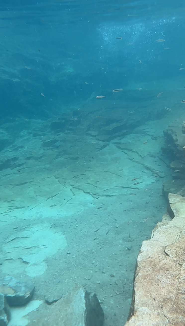 검태오남매보다 더 넓고, 조용한 곳 찾는다면 - 완주 동상계곡 명지목 산장, 2M이상 수심! : 네이버 블로그