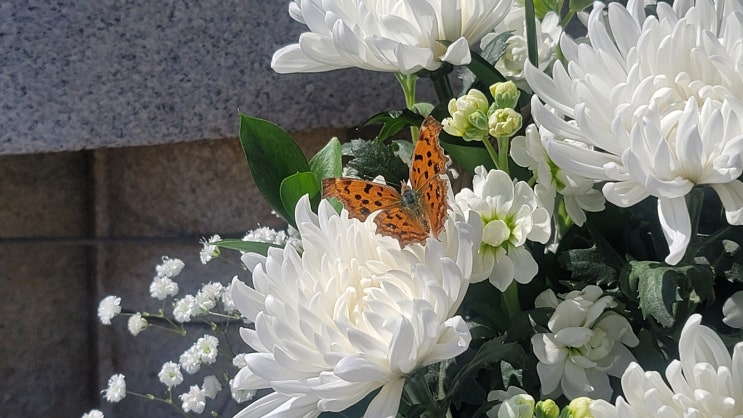 '귀하! 나, 박종현'에 출연 - KBS1 : 네이버 블로그