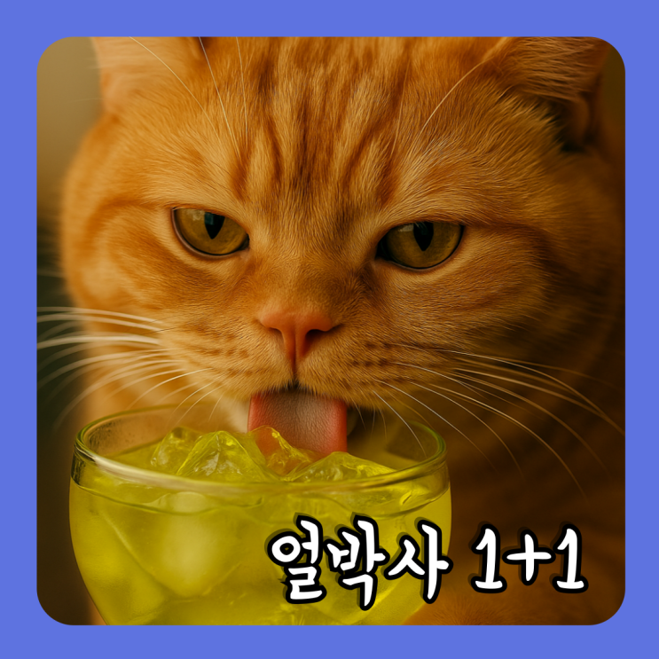 GS25 1+1 얼박사 후기, 박카스+사이다? 피로회복 음료계 끝판왕 등극 : 네이버 블로그