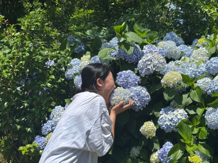 25년 6월 일상 : 네이버 블로그