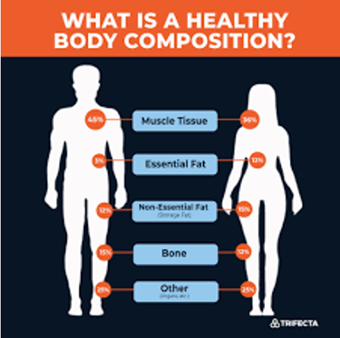 울산 천곡PT / Body Composition Methods, and Result Analysis : 네이버 블로그