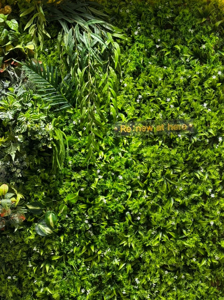 평택피부관리 리뉴에트 에스테틱, 윤곽관리 + Ldm 관리 후기 : 네이버 블로그