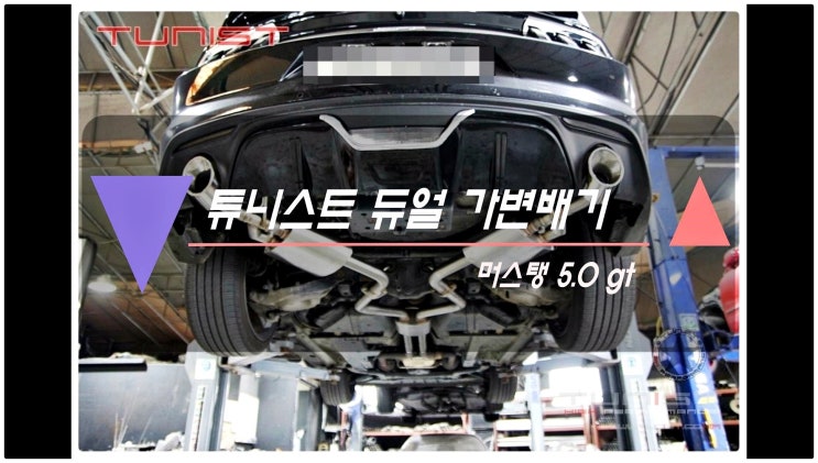 머스탱 GT 5.0 독립형 듀얼 가변배기 배기튜닝 완벽한 v8 머슬카 배기음 사운드 : 네이버 블로그