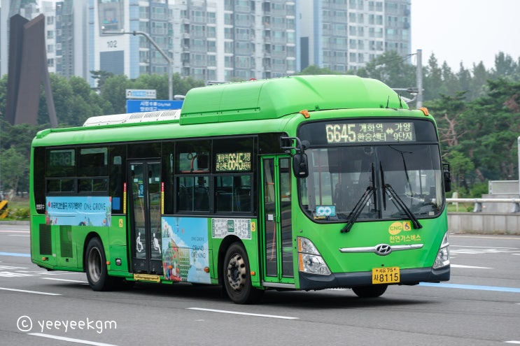 서울 정평운수 6645번 8115호 현대 저상 뉴슈퍼에어로시티 F/L CNG 2017 : 네이버 블로그