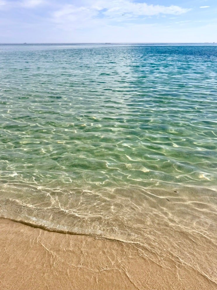 25년 7월 삼척 여행기 🐚 삼척 번개시장 + 덕풍계곡 : 네이버 블로그