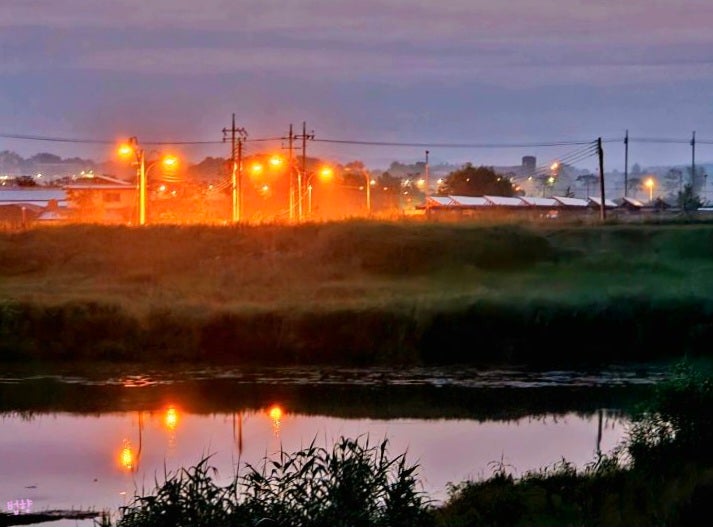 함평천의 새벽 1 : 네이버 블로그