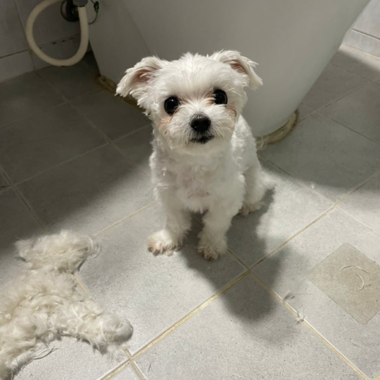 금융공기업 취업 금공준비 / 금공 a매치 b매치 준비 및 합격 / 서류 작성 / 필기 / 면접 : 네이버 블로그