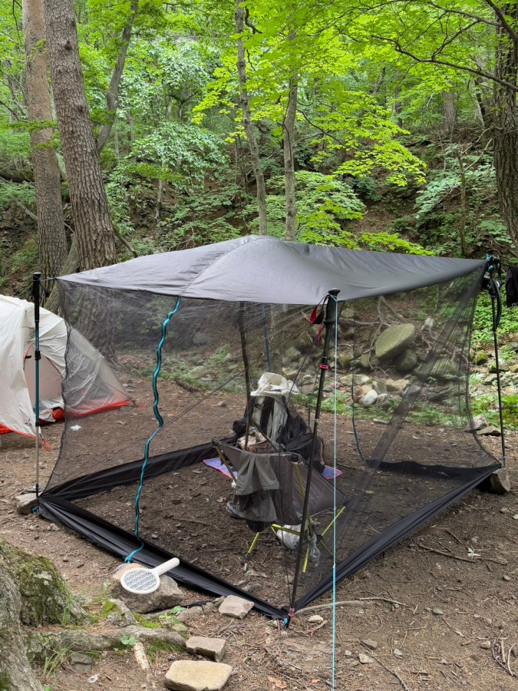 여름 백패킹 쉘터 경량 sili 실리 메쉬 큐브 UL8 : 네이버 블로그