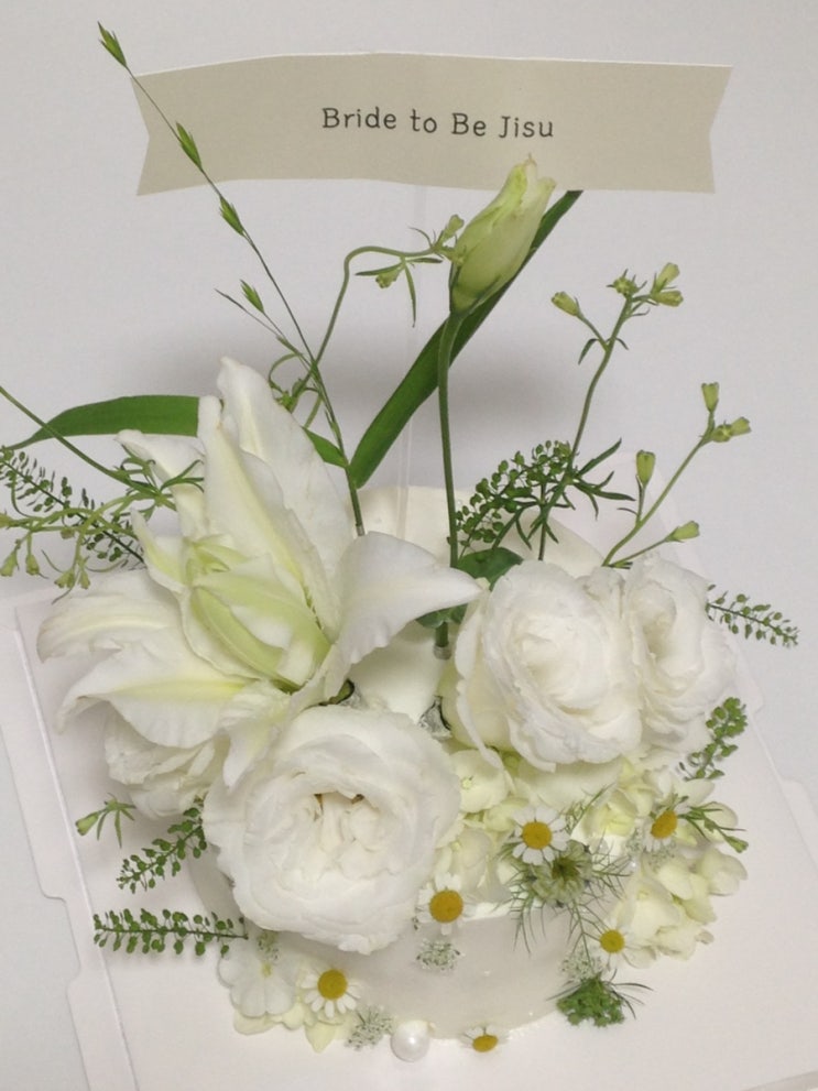 아이폰 5c로 담아본 일주일 : 네이버 블로그