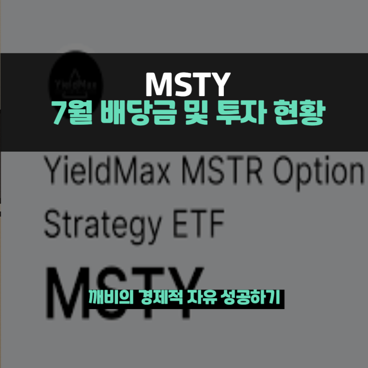 MSTY 7월 배당금 지급일 투자 현황 정리 : 네이버 블로그