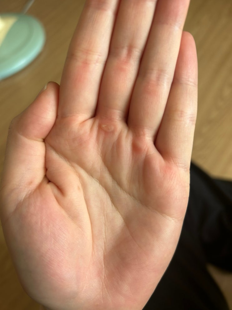 운동 느낀점 : 네이버 블로그