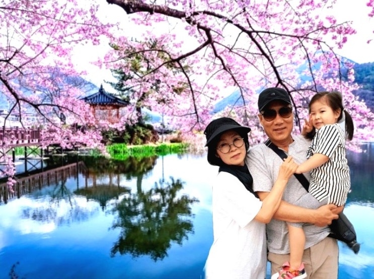 자연의 틈에서, 시간을 담다 : 네이버 블로그