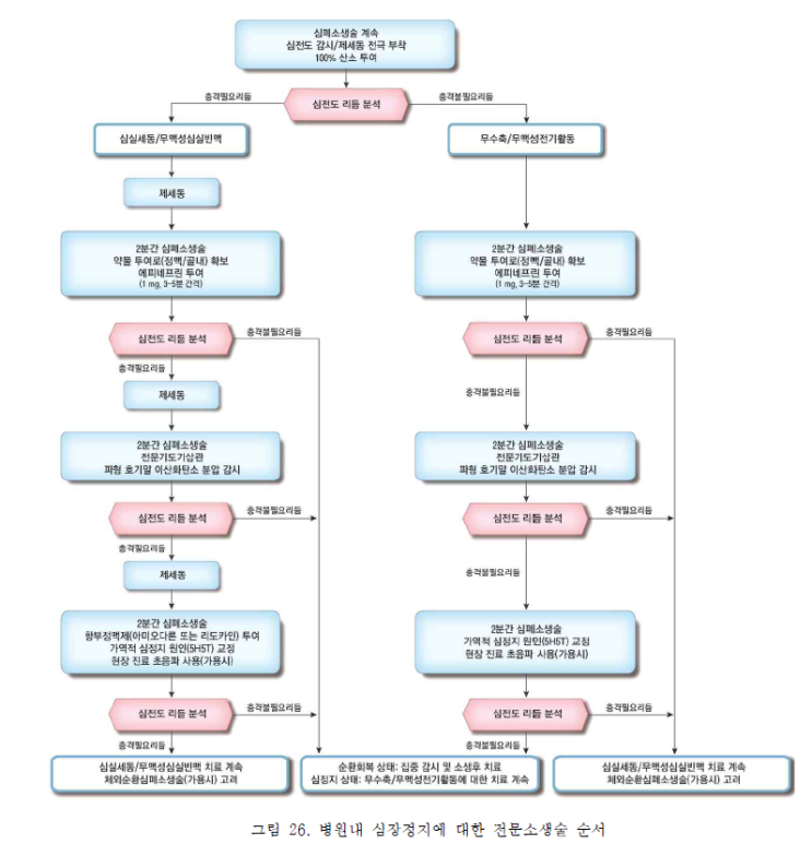 전문 심폐소생술 자격증 칼스 (KALS) 2탄 - CPR,심전도, TTM, ECPR : 네이버 블로그