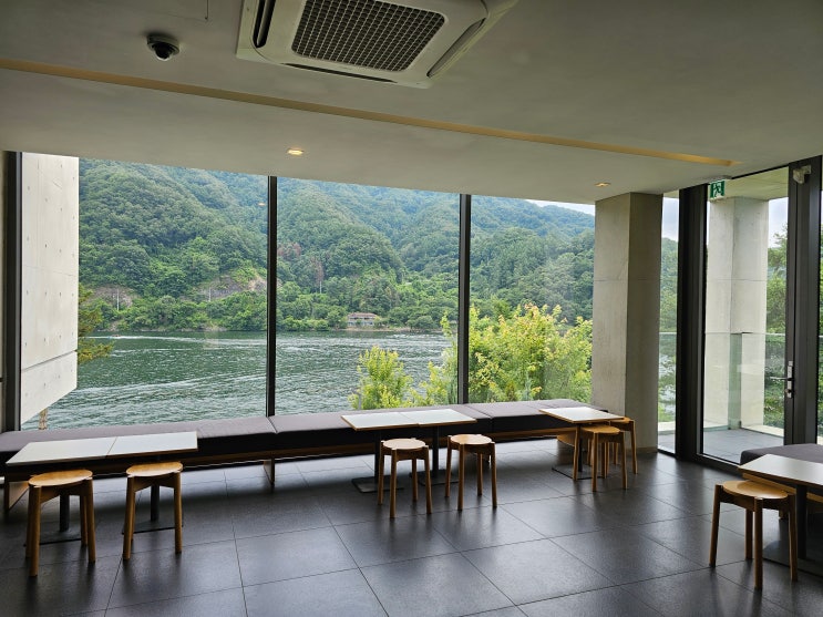 가평 골든트리 카페 남이섬 아이들이 뛰어놀기 좋은 베이커리 카페 : 네이버 블로그