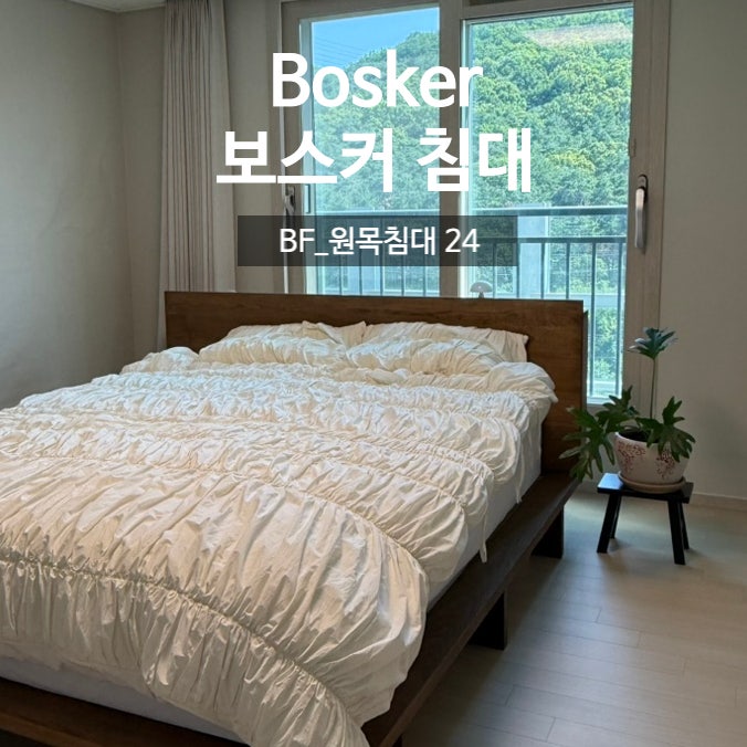 Bosker 보스커 원목 침대 BF 24 내돈내산 쇼룸 구매 후기 : 네이버 블로그