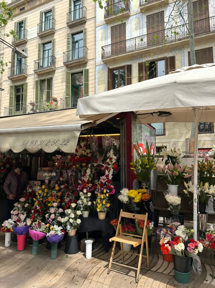 [스페인포르투 신혼여행] Day13 바르셀로나 셋째날 - 바르셀로나 기념품 쇼핑(라치나타 올리브오일, 바르셀로나 비센스 뚜론 ...