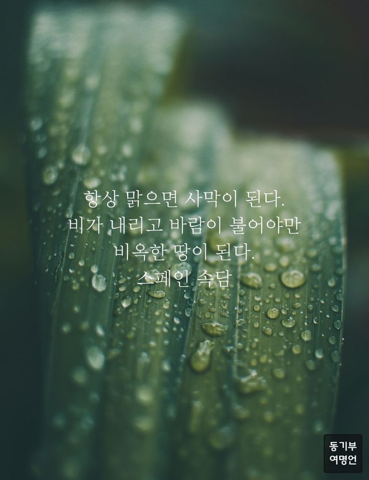 성 보나벤투라 주교 학자 기념일-모세와 파라오 by 김레오나르도 posted Jul 15, 2025 : 네이버 블로그