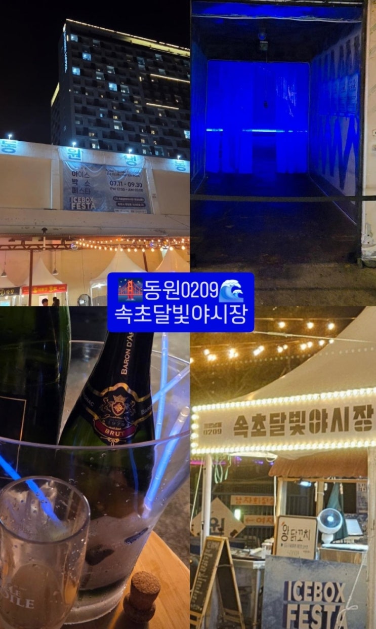 속초 놀거리 아이스박스페스타 달빛야시장 동원0209 + 로컬맛집 : 네이버 블로그