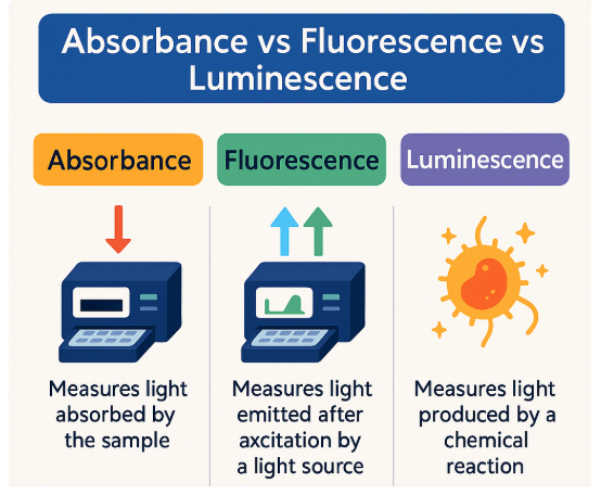 흡광(Absorbance) vs 형광(Fluorescence) vs 발광(Luminescence) 차이점은 뭘까요 ? : 네이버 블로그