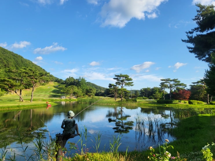 센츄리21cc : 네이버 블로그