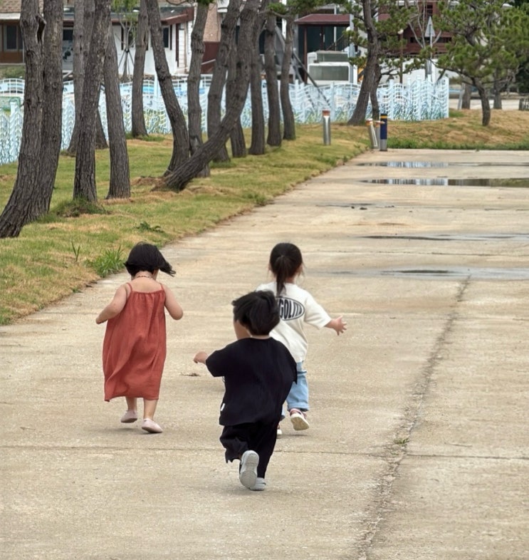 세 가족 & 아기 셋과 떠난 영덕 고래불 해수욕장｜당근스테이 민박 1박 2일 후기 🐳 🤍 : 네이버 블로그