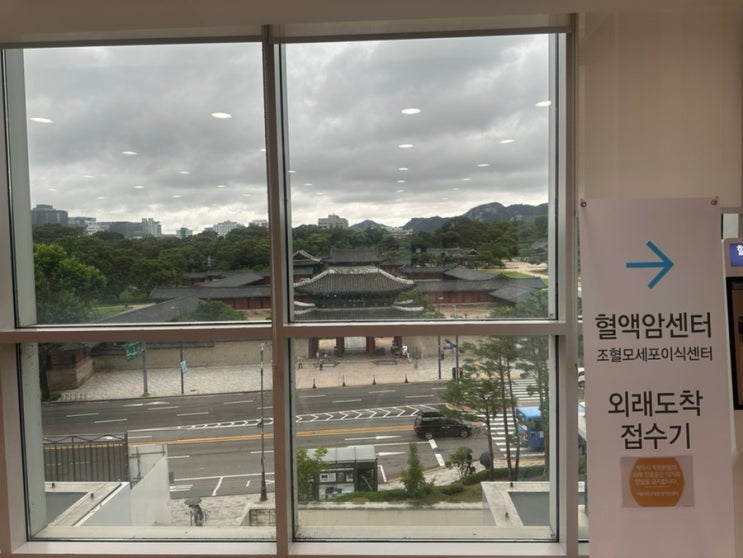 이식후 12주 : 네이버 블로그