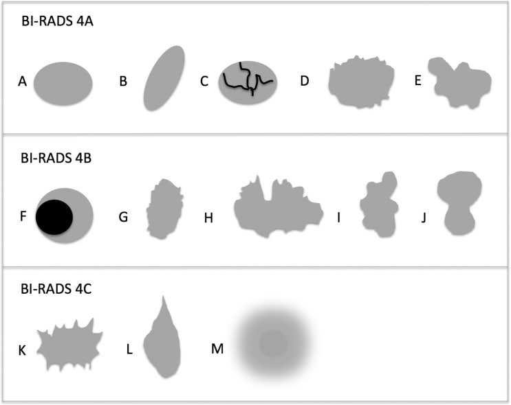 BI-RADS 4a, 4b, 4c 구분 : 네이버 블로그
