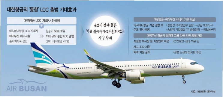 대한항공 선호 현상: LCC를 외면하는 소비자들의 심리 분석 : 네이버 블로그