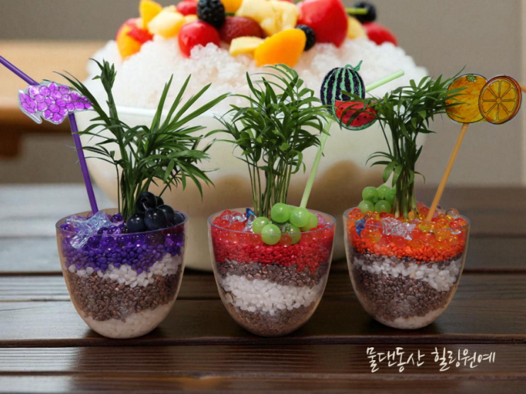 팥빙수 화분 유치원 여름 테마 활동 원예 키트 수경재배 : 네이버 블로그