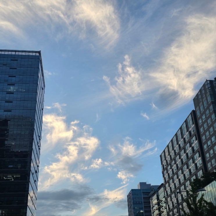 250714-0720 일상 : 네이버 블로그
