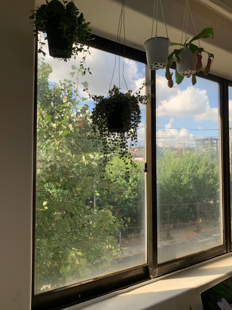 One’s summer day : 네이버 블로그