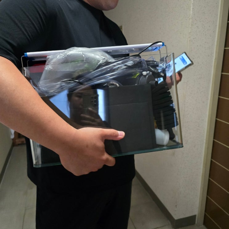 7월[3][4] : 네이버 블로그