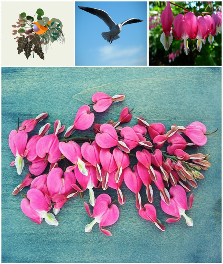 국내에서 반려동물과 즐길 수 있는 여행지 TOP 10 : 네이버 블로그