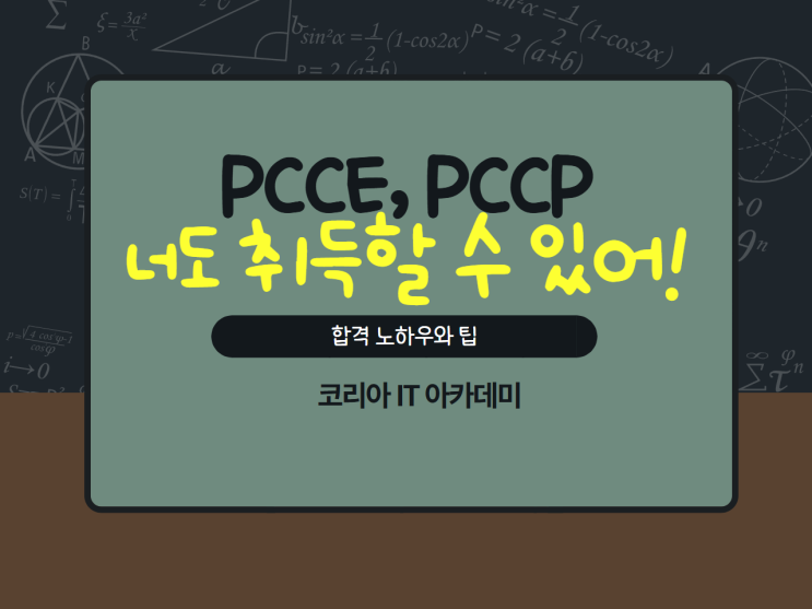 코딩테스트 준비 및 후기(프로그래머스 PCCE/PCCP) : 네이버 블로그