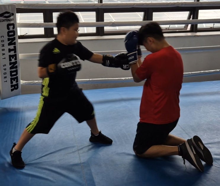 화명동복싱 방학때 울 아이 용인대w복싱짐 2호점에 보내려고 등록했어요 : 네이버 블로그