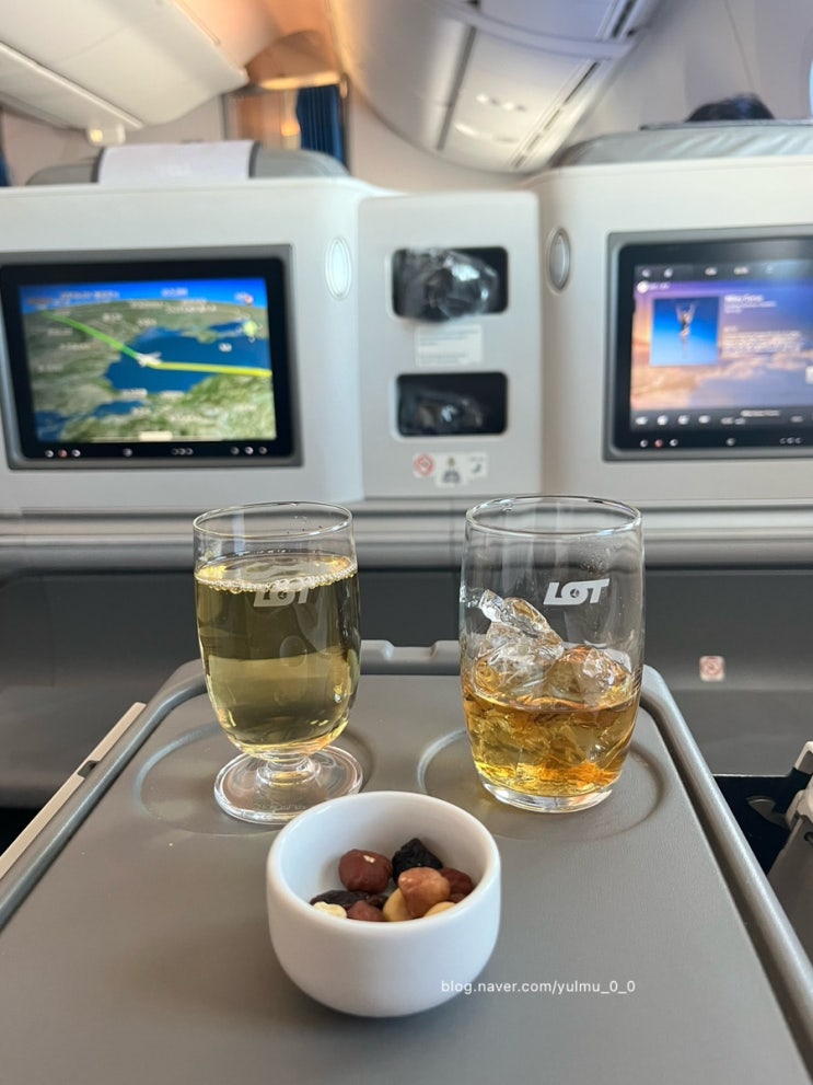 LOT 폴란드항공 LO98 비즈니스 내돈내산 탑승 후기 ICN 인천 > WAV 바르샤바 직항 : 네이버 블로그