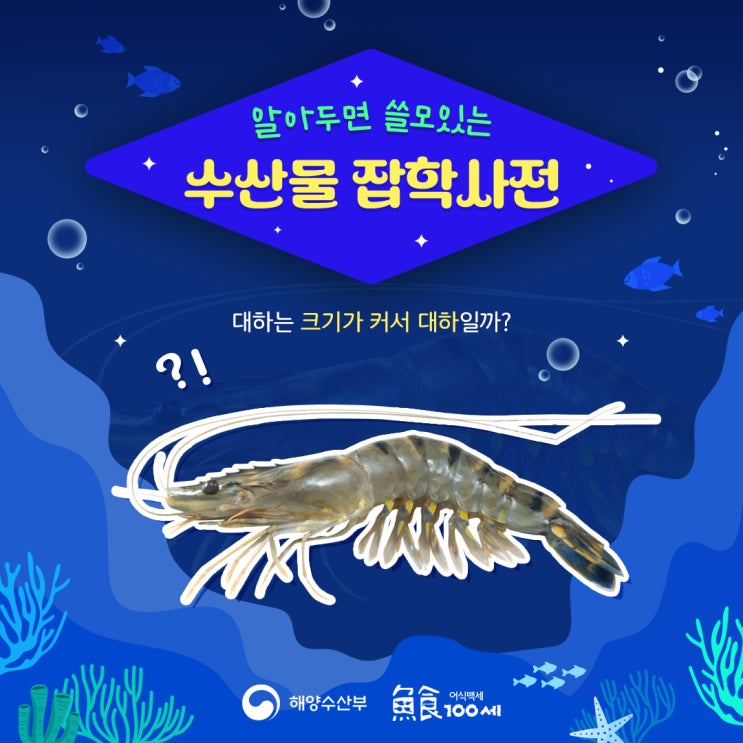 대하는 크기가 커서 대하? | 대하 중하 흰다리새우 차이 : 네이버 블로그