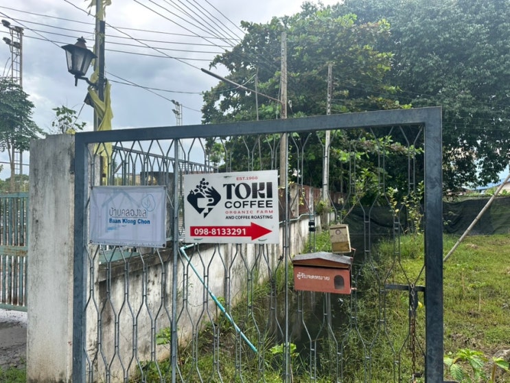 치앙마이 유기농 커피 핸드드립 토키 커피 Toki Coffee 8월 말까지 리모델링 : 네이버 블로그