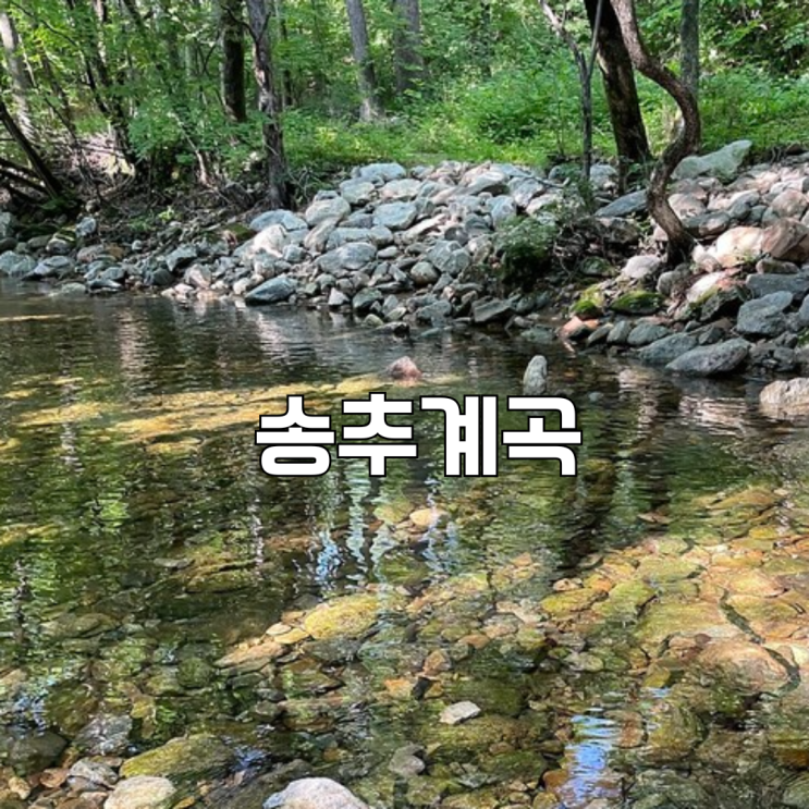 송추계곡 서울근교계곡추천 물놀이 맛집 주차 입장료 총정리 : 네이버 블로그